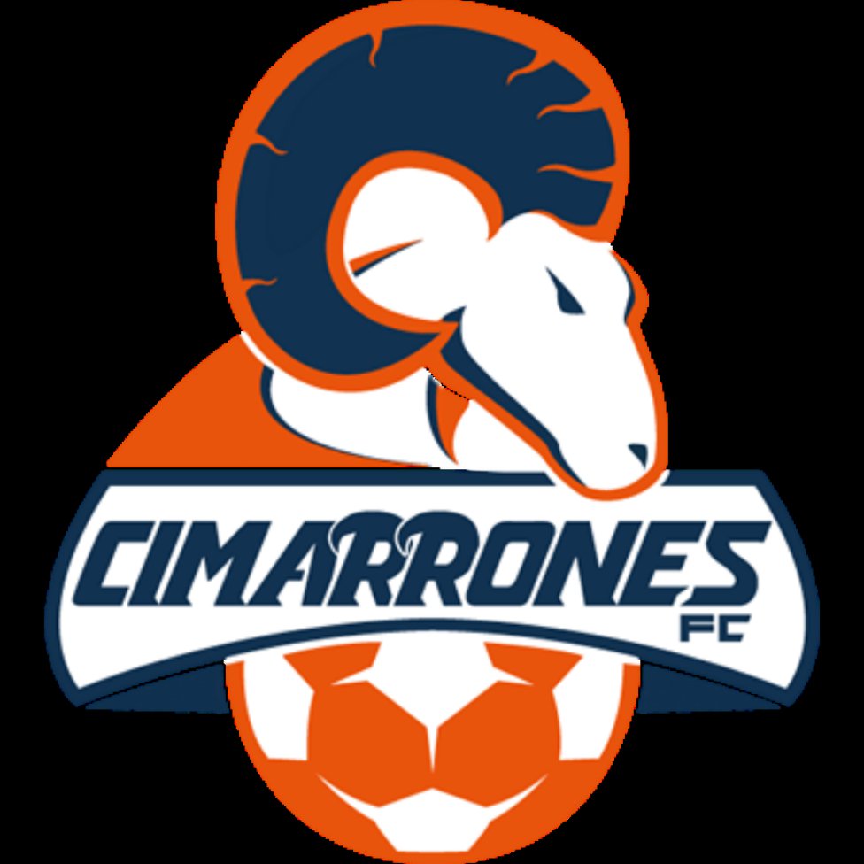 Los escudos más raros del fútbol